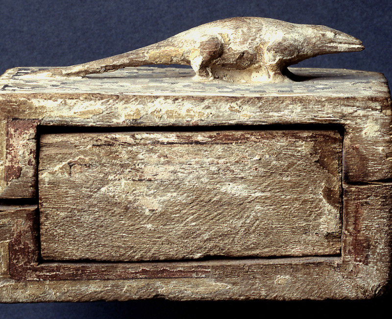 Lezing voor volwassenen: dierenmummies onderzocht | Wereldmuseum Leiden