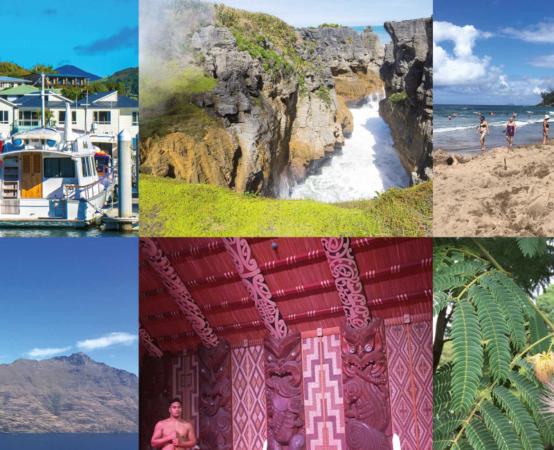 Win a trip to New Zealand with Djoser | Wereldmuseum Leiden