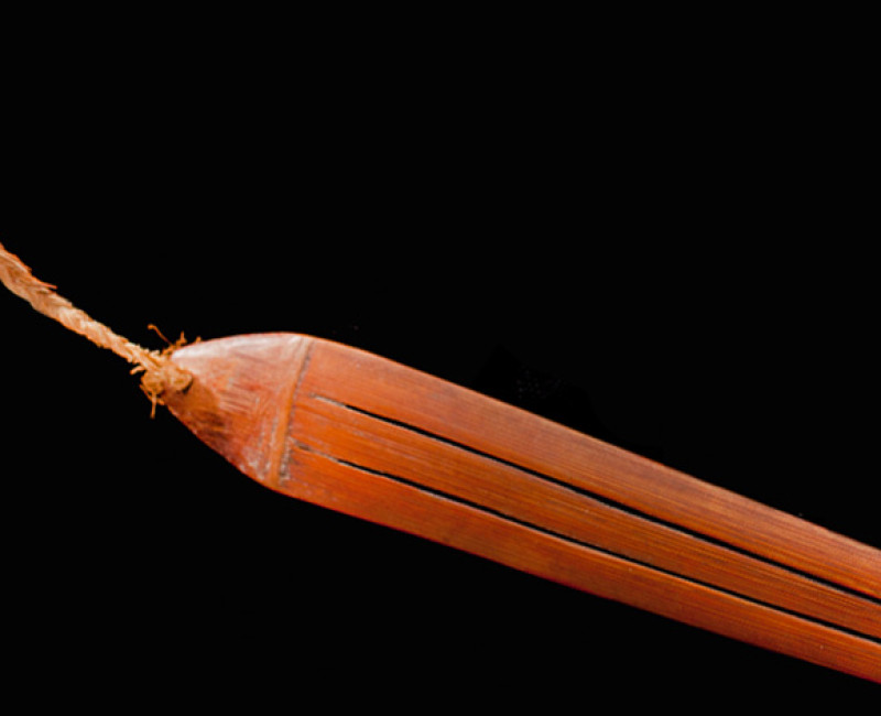 Een klein muziekinstrument met een groot bereik | Wereldmuseum Leiden