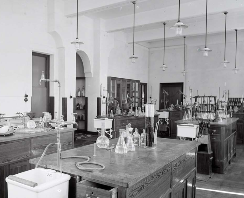 Race Science, Physical Anthropology & the Ethnographic Museum ...